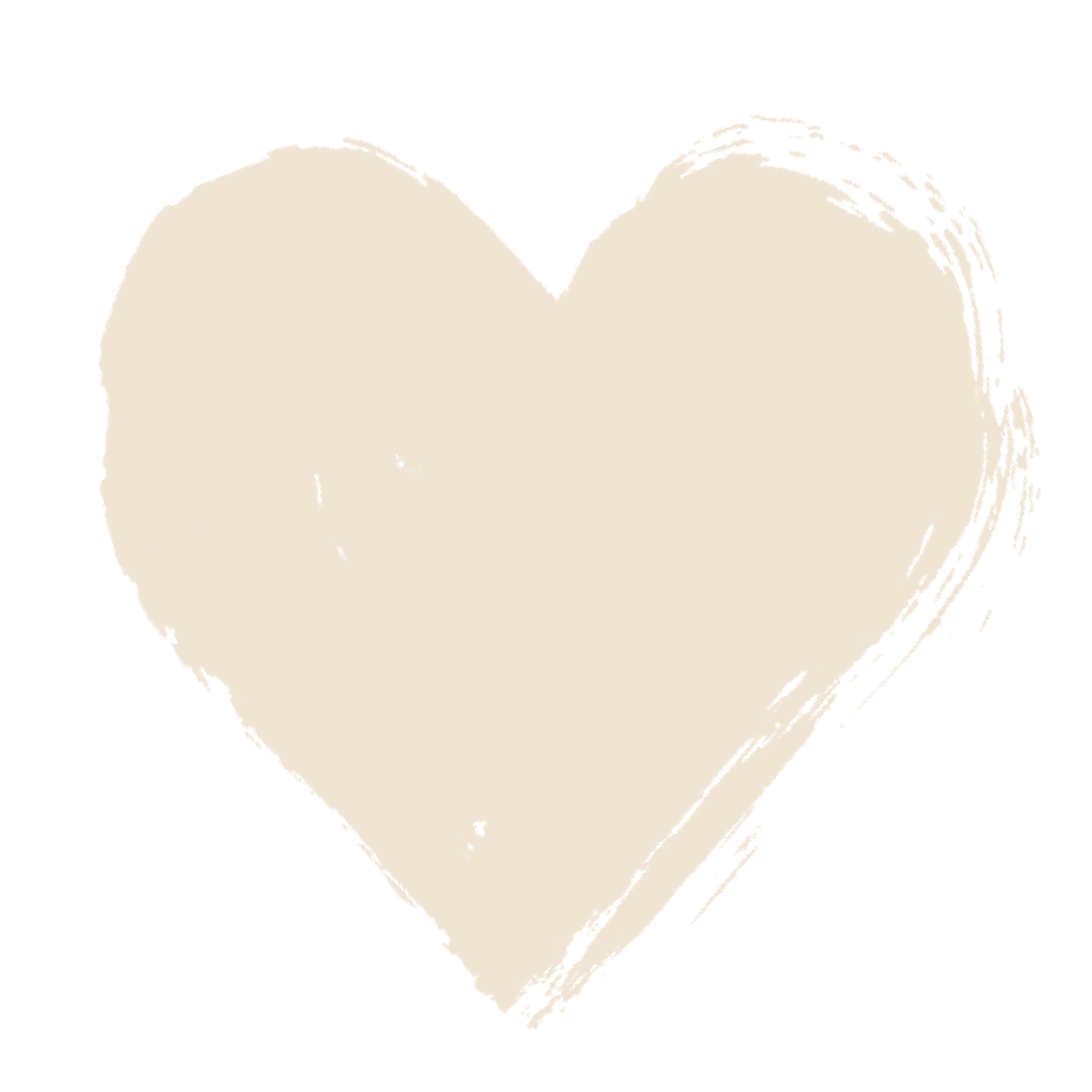 Pampas Trim Paint | Siop Sioned - Independent Welsh Gift Shop